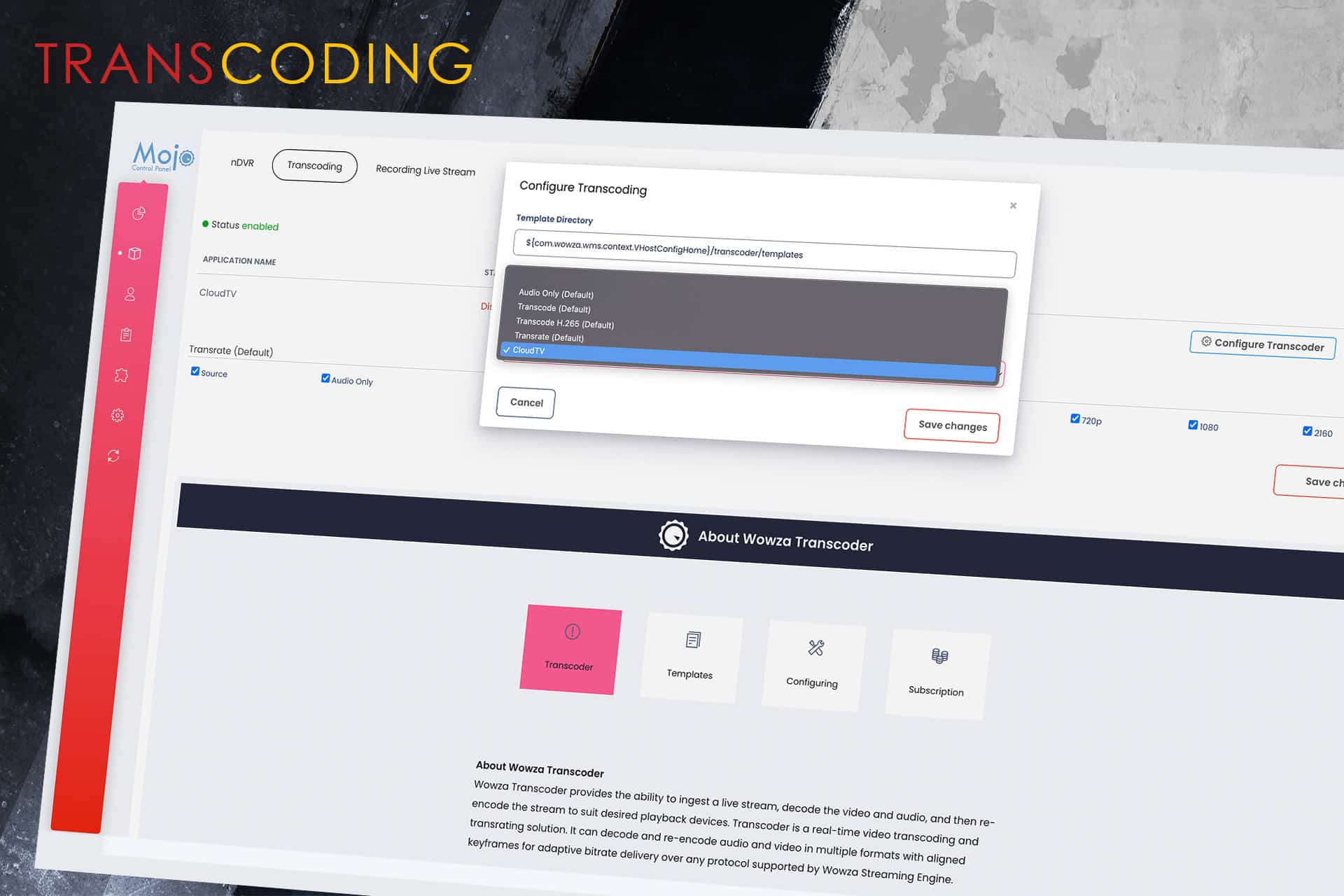 Streaming Solutions: Elevate Your Broadcasting Needs - Streaming Pulse Inc.